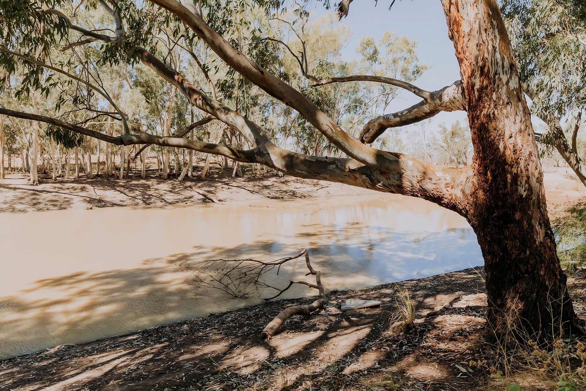 Recreation Blackall-Tambo Regional Council